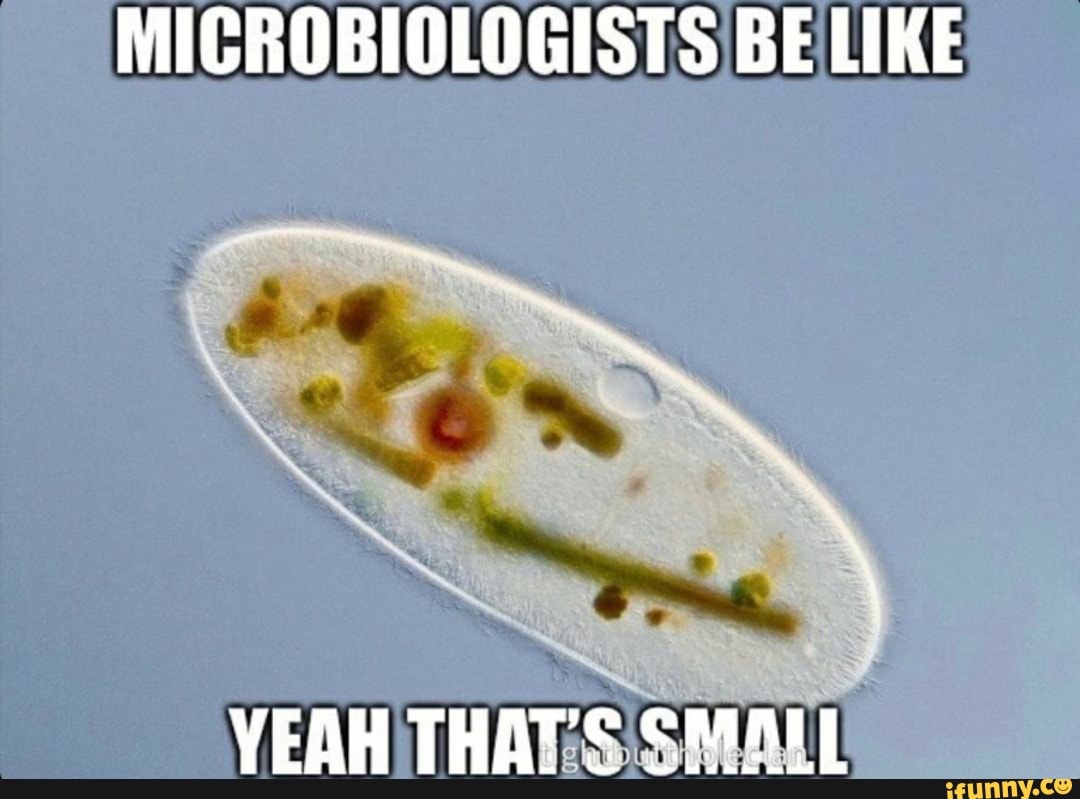 Microbiologists memes. Best Collection of funny Microbiologists ...