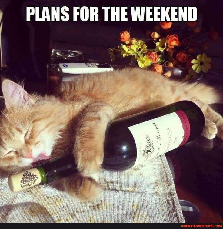PLANS FOR THE WEEKEND - America’s best pics and videos