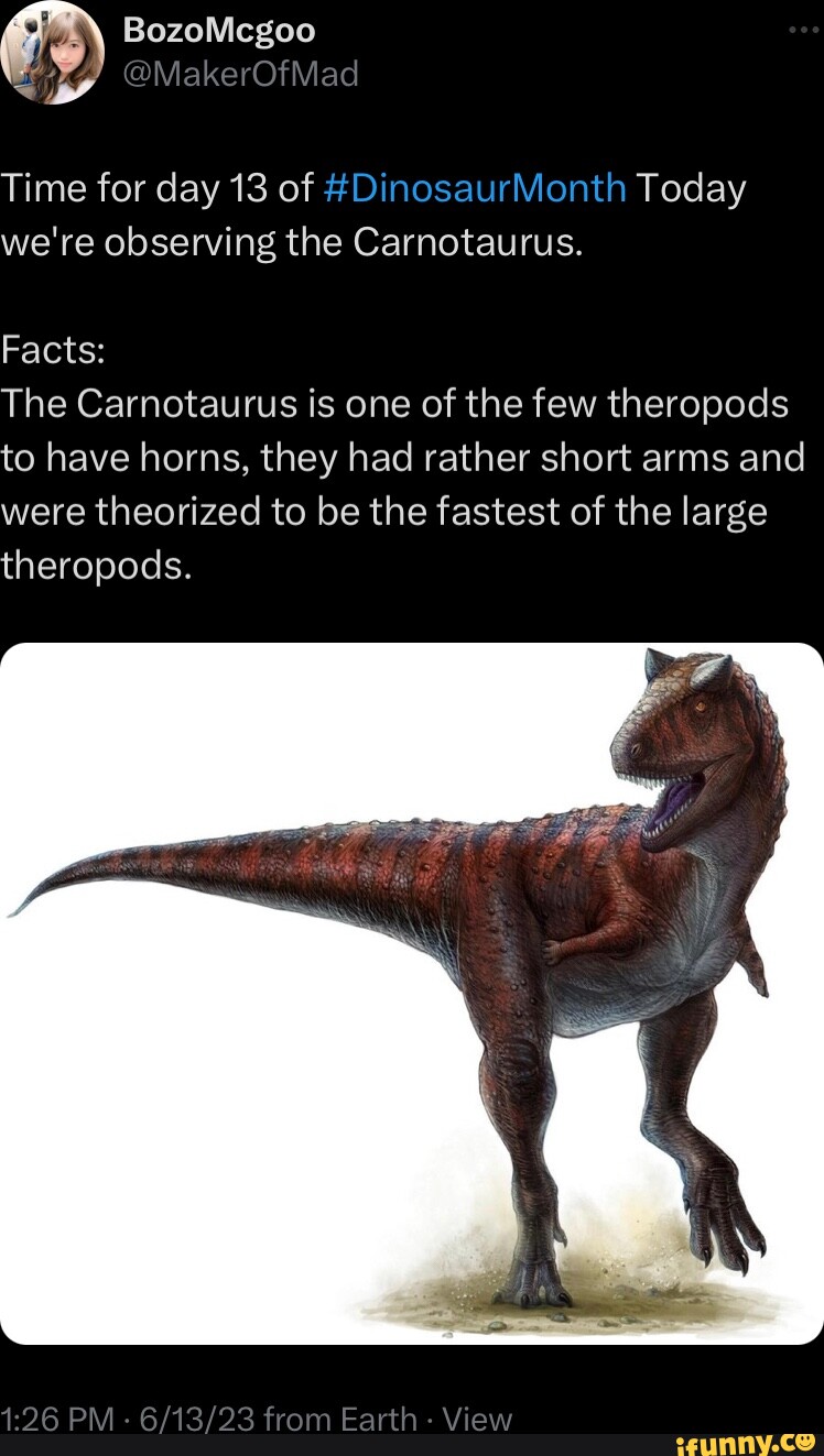 Theropods memes. Best Collection of funny Theropods pictures on iFunny