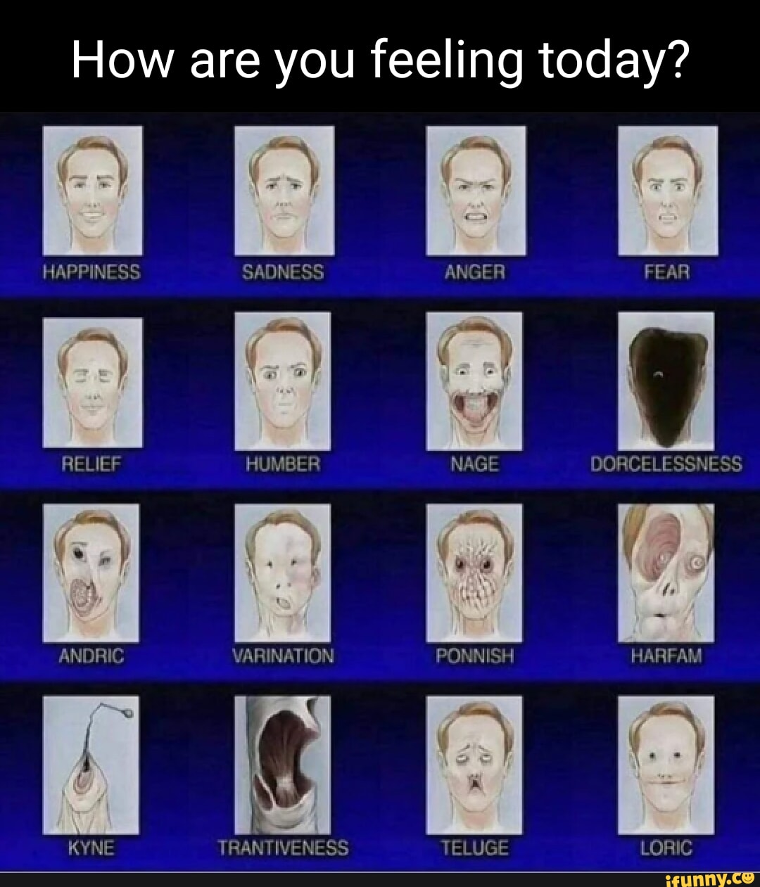 How are you feeling today? SAONESS ANGER FEAR DORCELESSNESS ANDRIC ...