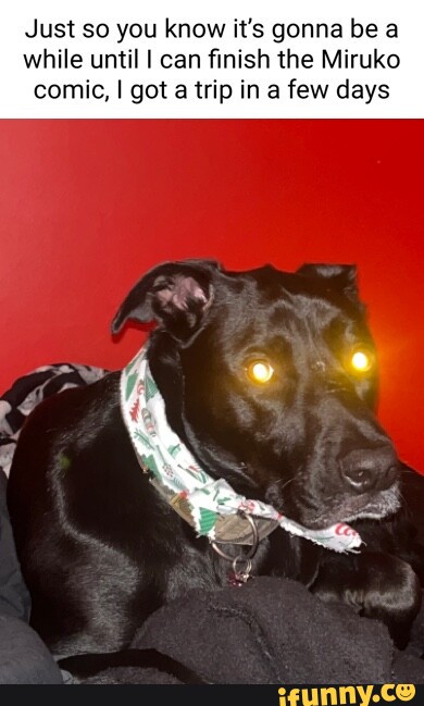 Miruko memes. Best Collection of funny Miruko pictures on iFunny