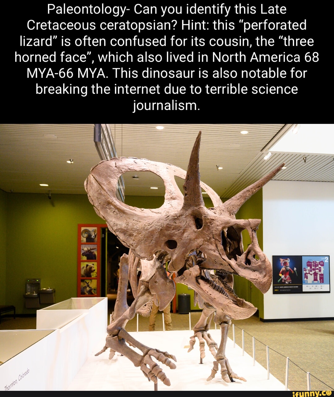 Paleontology- Can you identify this Late Cretaceous ceratopsian? Hint ...