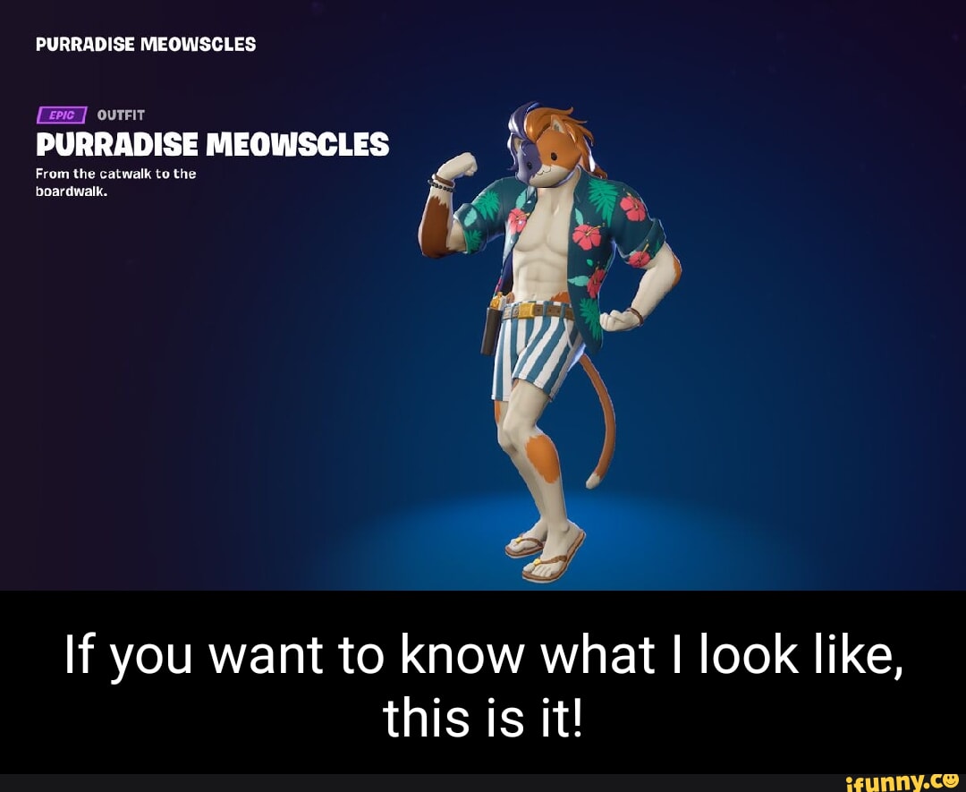 Meowscles memes. Best Collection of funny Meowscles pictures on iFunny