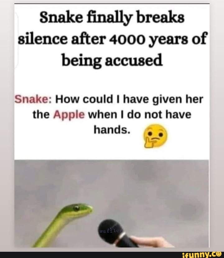 Snake finally breaks silence after 4000 years of being accused Snake ...