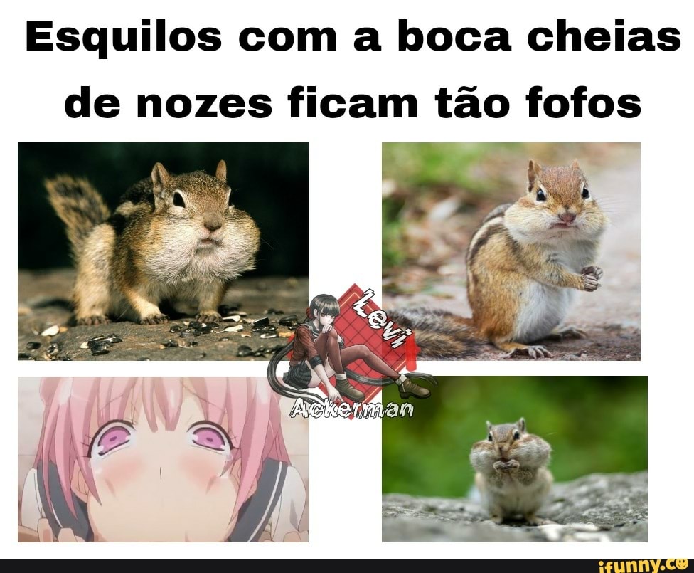 Esquilo De Boca Cheia - RETOEDU