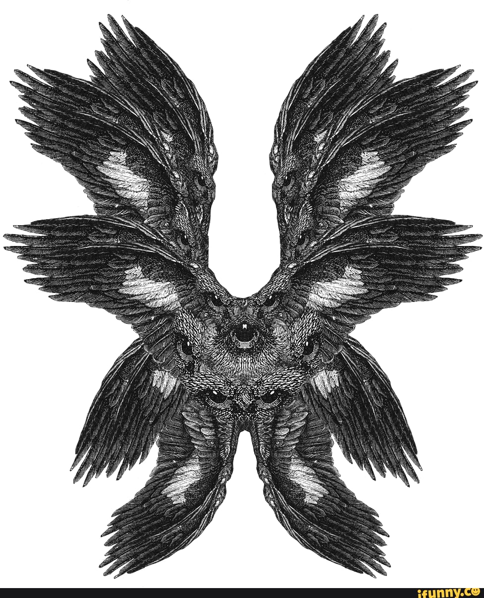Seraphim png, edited by myself. Original artwork by Dan Hillier. - iFunny