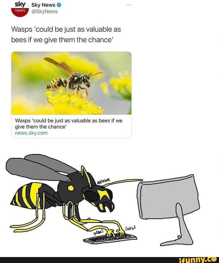 Wasps memes. Best Collection of funny Wasps pictures on iFunny