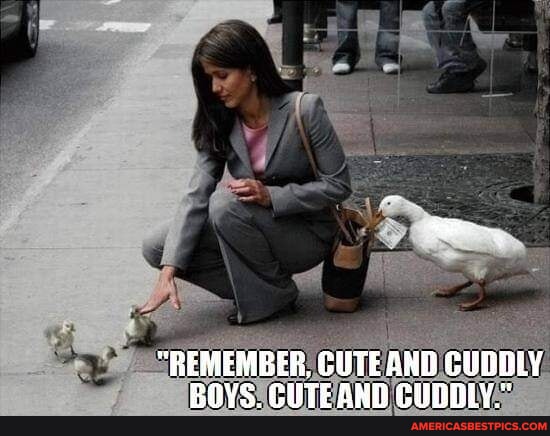 "REMEMBER, CUTE AND CUDDLY BOYS. CUTE AND CUDDLY." - America’s best ...