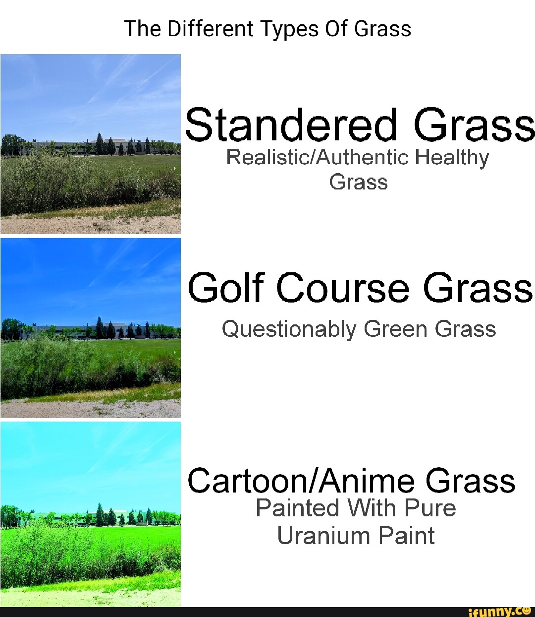 The Different Types Of Grass Standered Grass Healthy Grass Golf Course ...