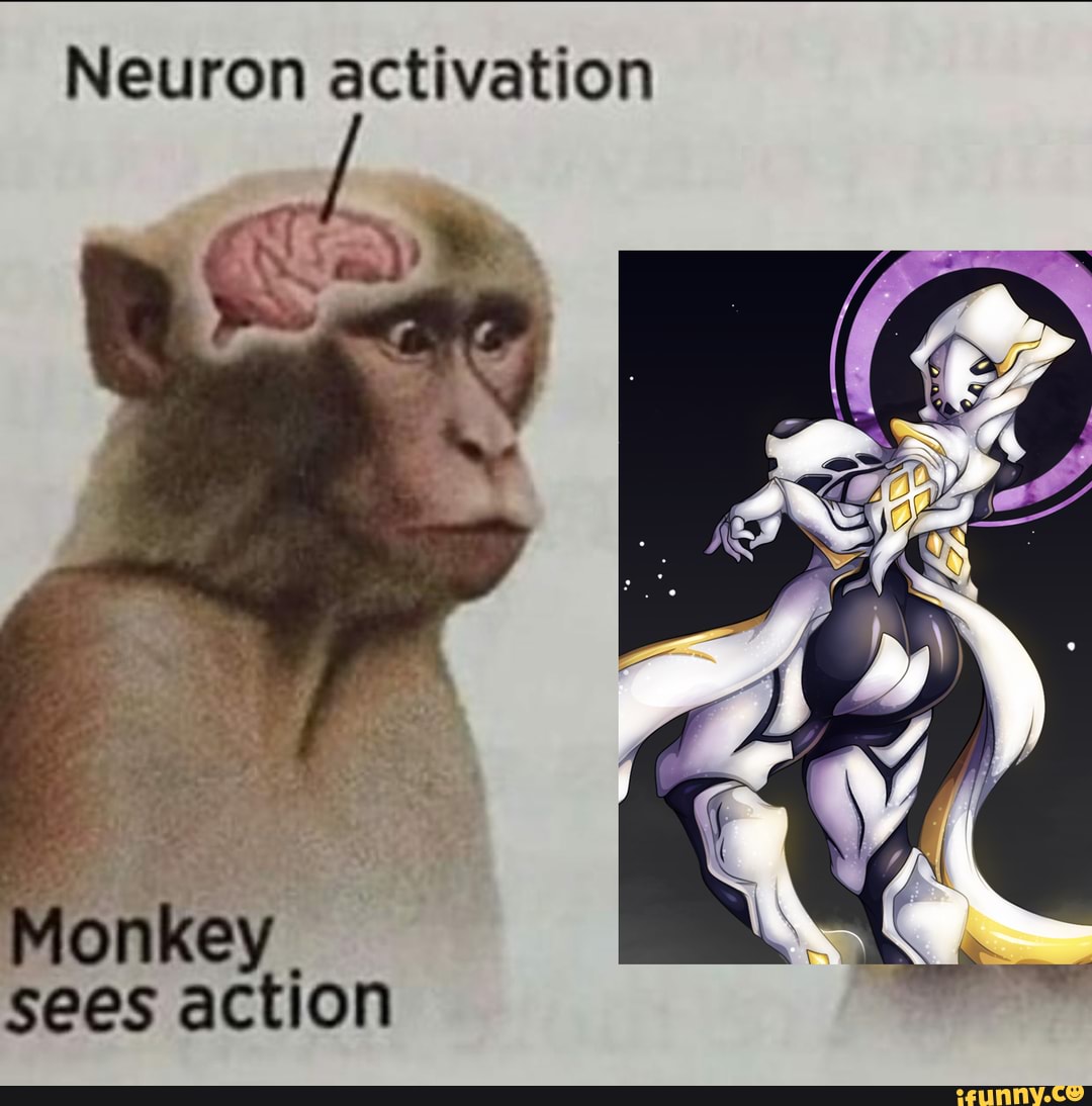 Neuron activation Monkey. sees action - iFunny