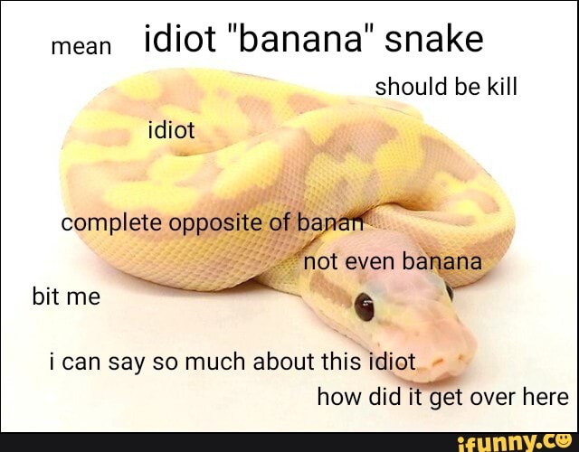 Mean idiot "banana" snake should be kill idiot complete opposite of ...
