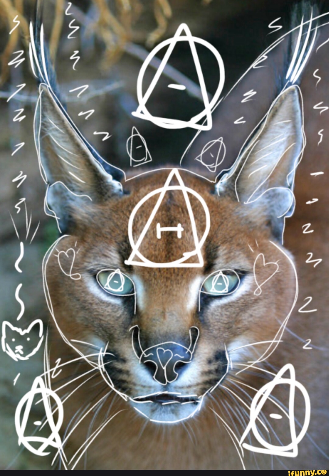 Therian memes. Best Collection of funny Therian pictures on iFunny