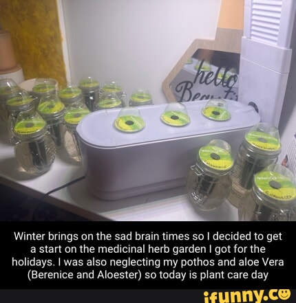 Pathos memes. Best Collection of funny Pathos pictures on iFunny