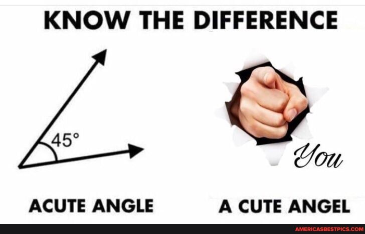 3 - KNOW THE DIFFERENCE Lou ACUTE ANGLE A CUTE ANGEL - America’s best ...
