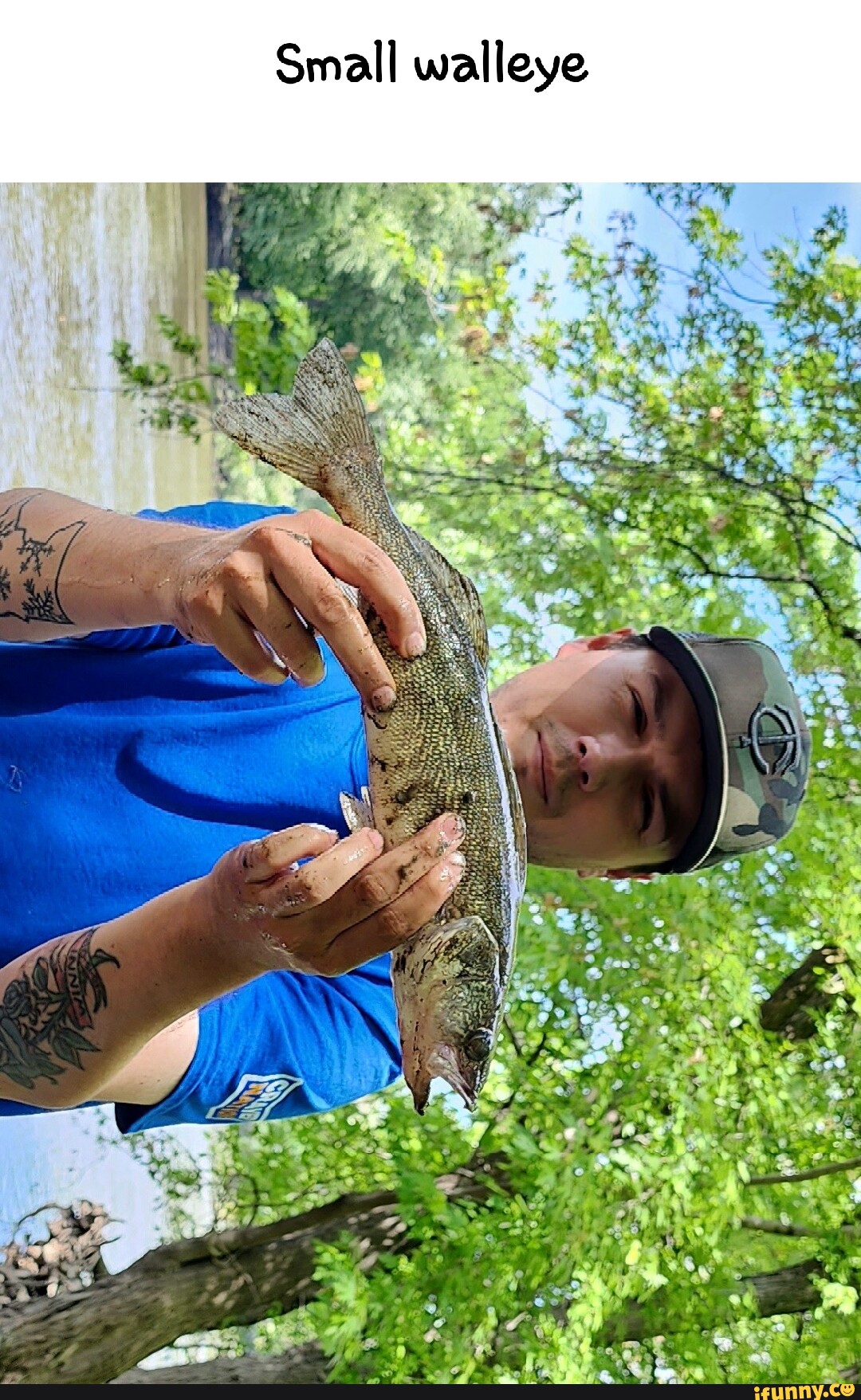 Walleye memes. Best Collection of funny Walleye pictures on iFunny