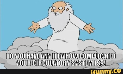 VOU HAVE ANY IDEA HOW COMPLICATED YOUR CIRCULATORY SYSTEM - iFunny