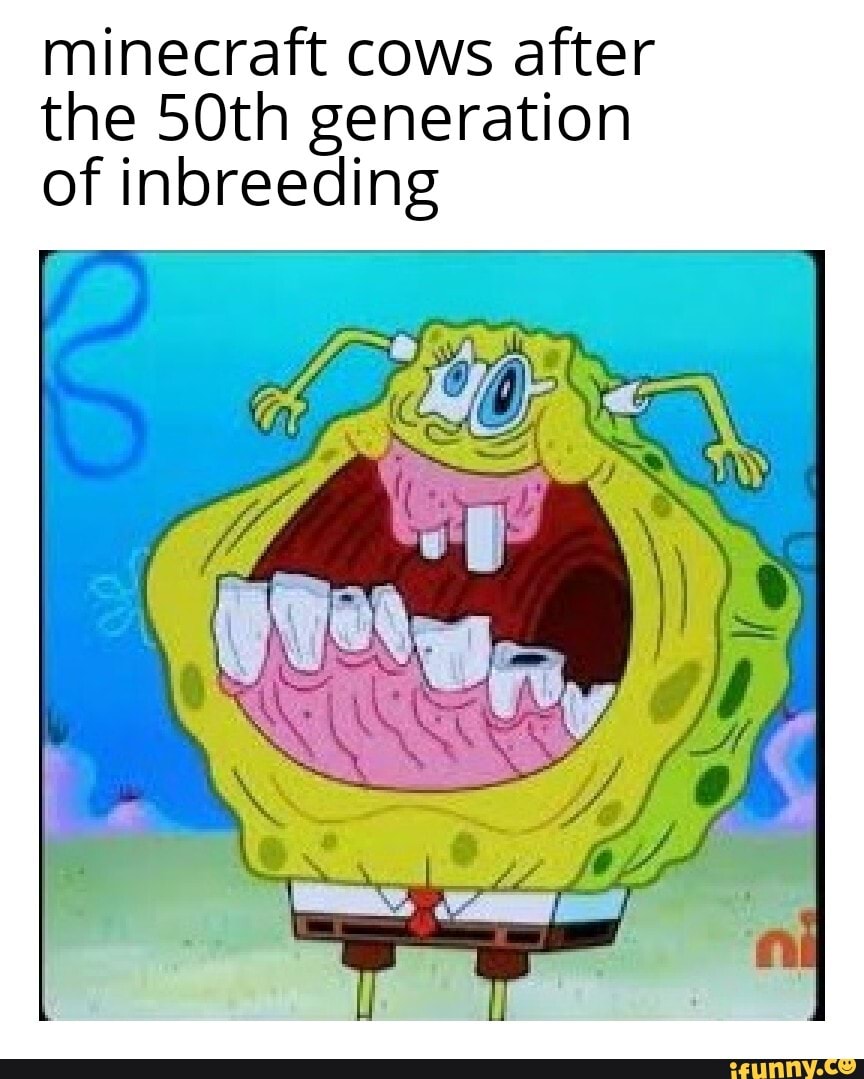 Minecraft cows after the 50th generation of inbreeding - iFunny