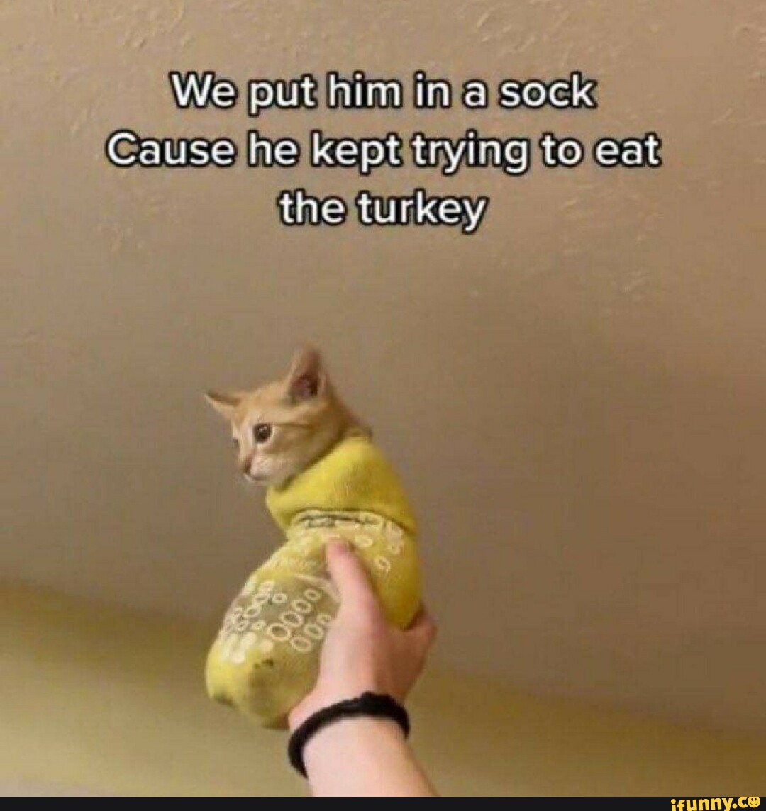 VS pr lia fin Seis Caves aning to - iFunny