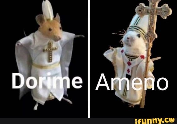 Dorime I Ameno - iFunny