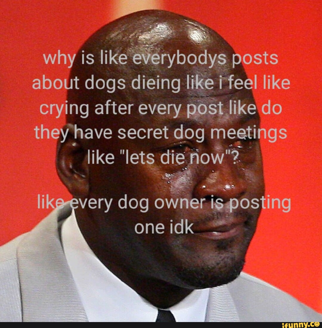 Why is li ke 'everybodys posts about dogs dieing like feel like crying ...