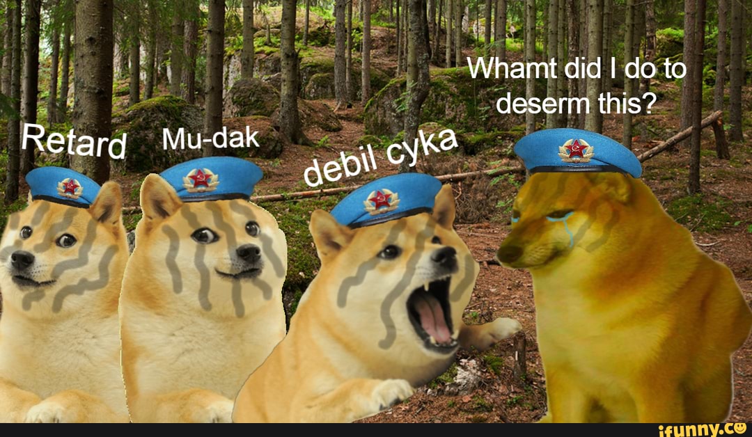 Cheems being picked on during military exercise with his VDV unit. - iFunny