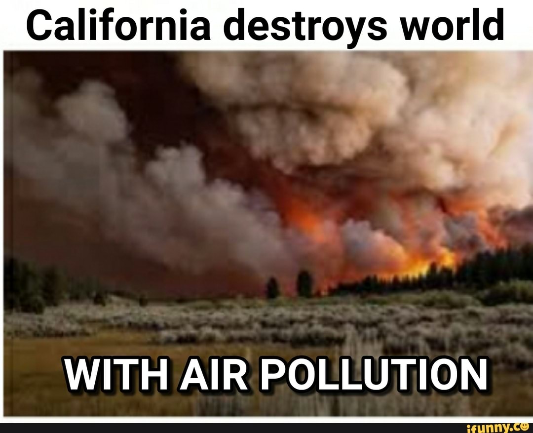 California memes. Best Collection of funny California pictures on iFunny