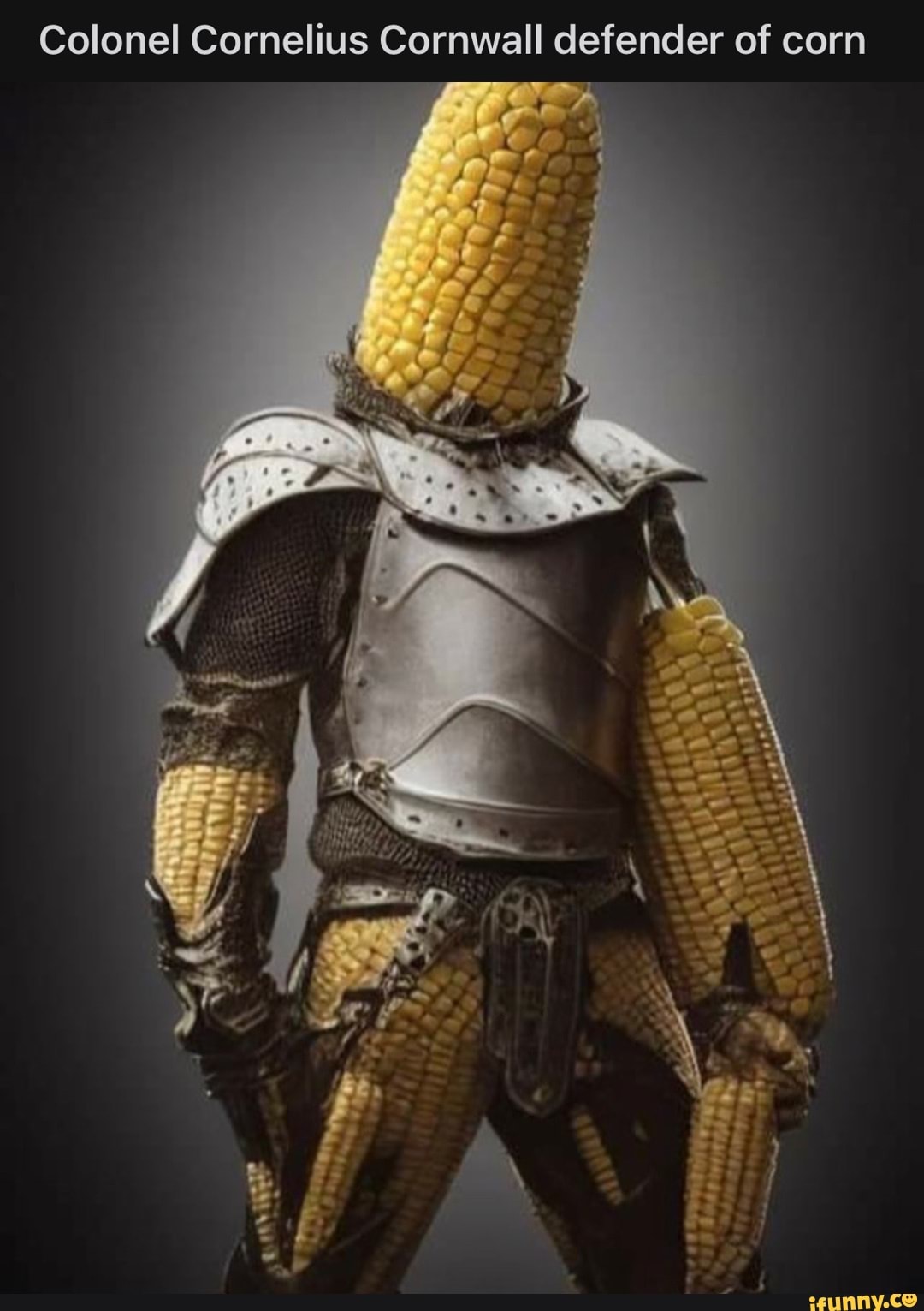 Cornwall memes. Best Collection of funny Cornwall pictures on iFunny