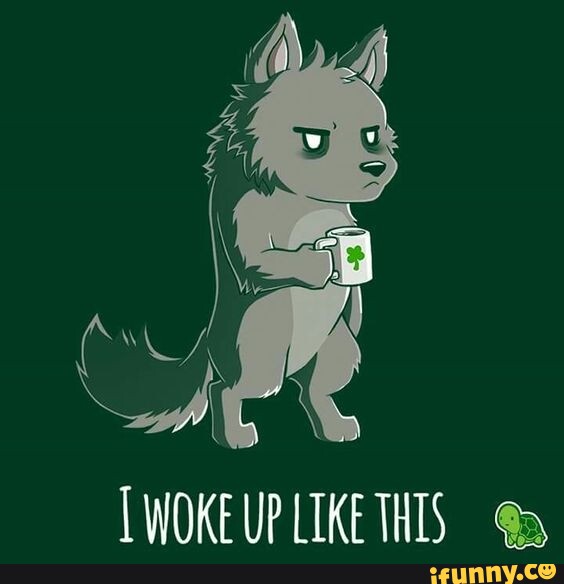 I Woke Up Like This Meme Funny