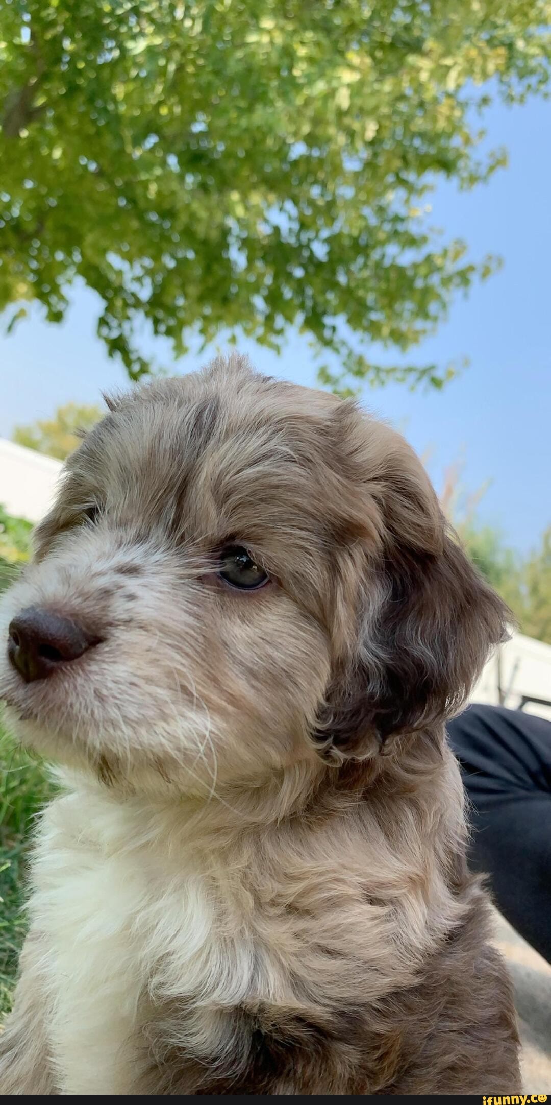 Dudette memes. Best Collection of funny Dudette pictures on iFunny