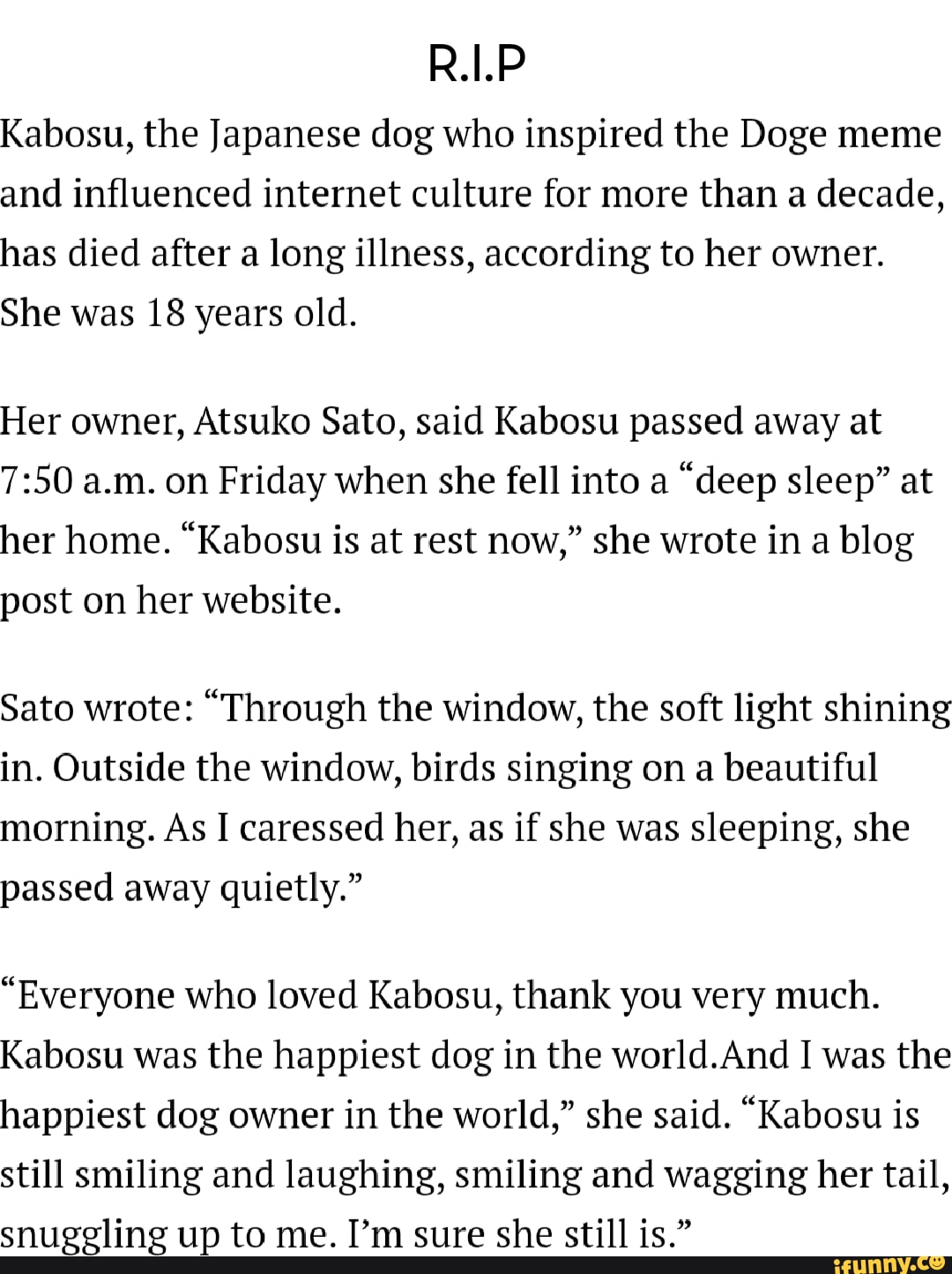 R.I.P Kabosu, the Japanese dog who inspired the Doge meme and influenced internet culture for ...