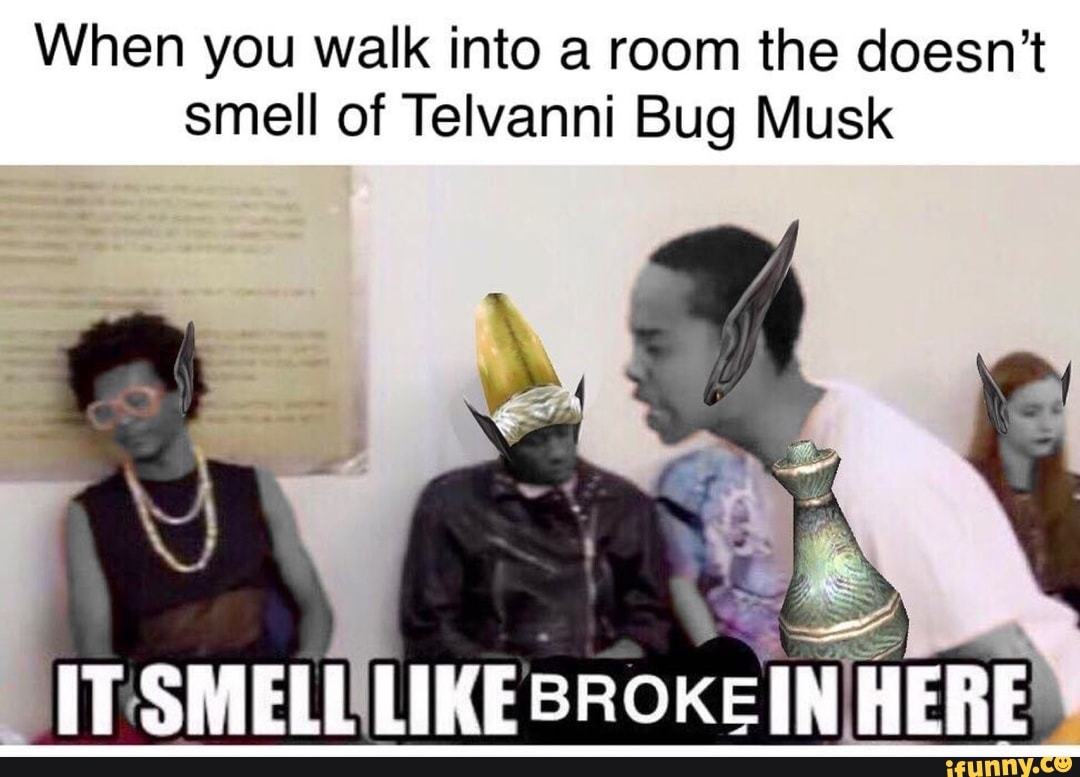 When you walk into a room the doesn’t smell of Telvanni Bug Musk - iFunny