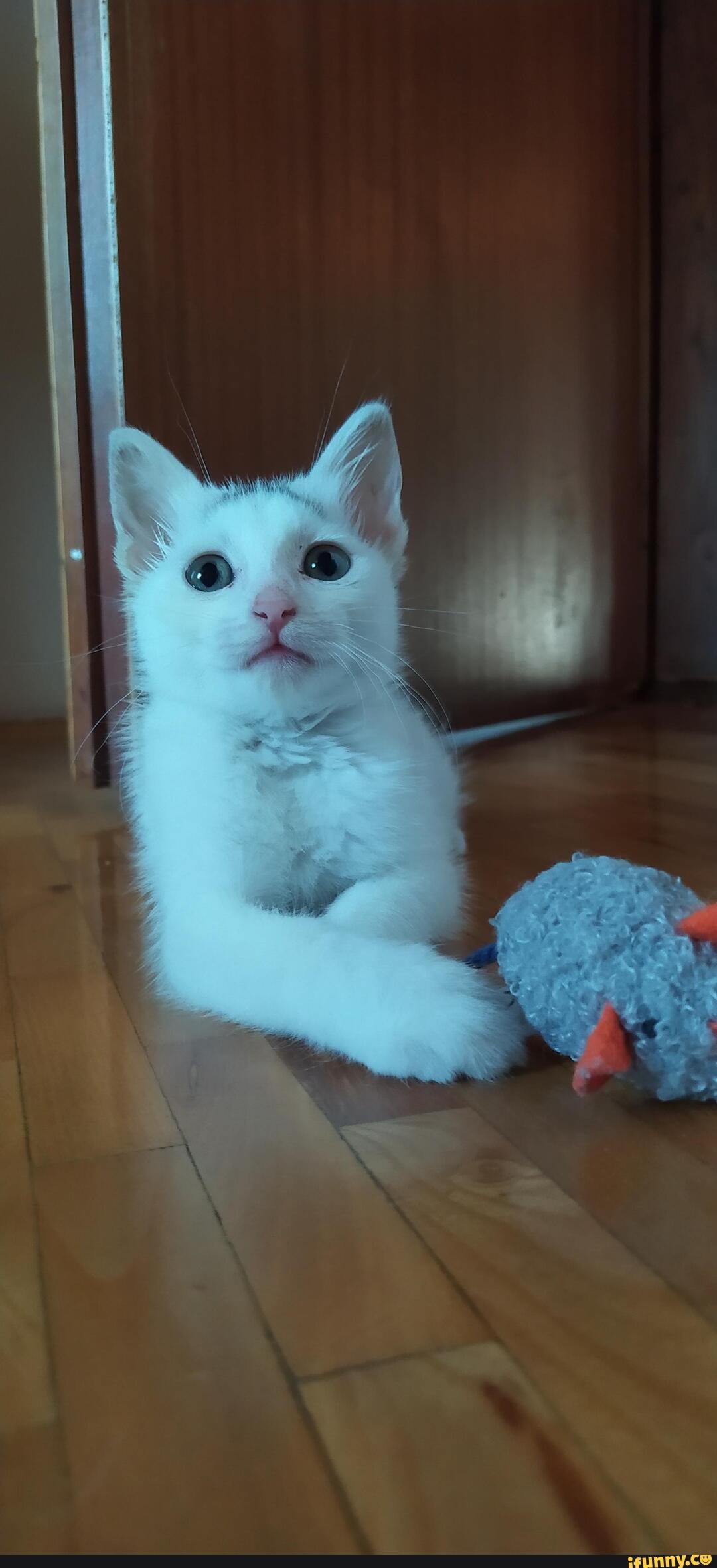 Ponyo memes. Best Collection of funny Ponyo pictures on iFunny