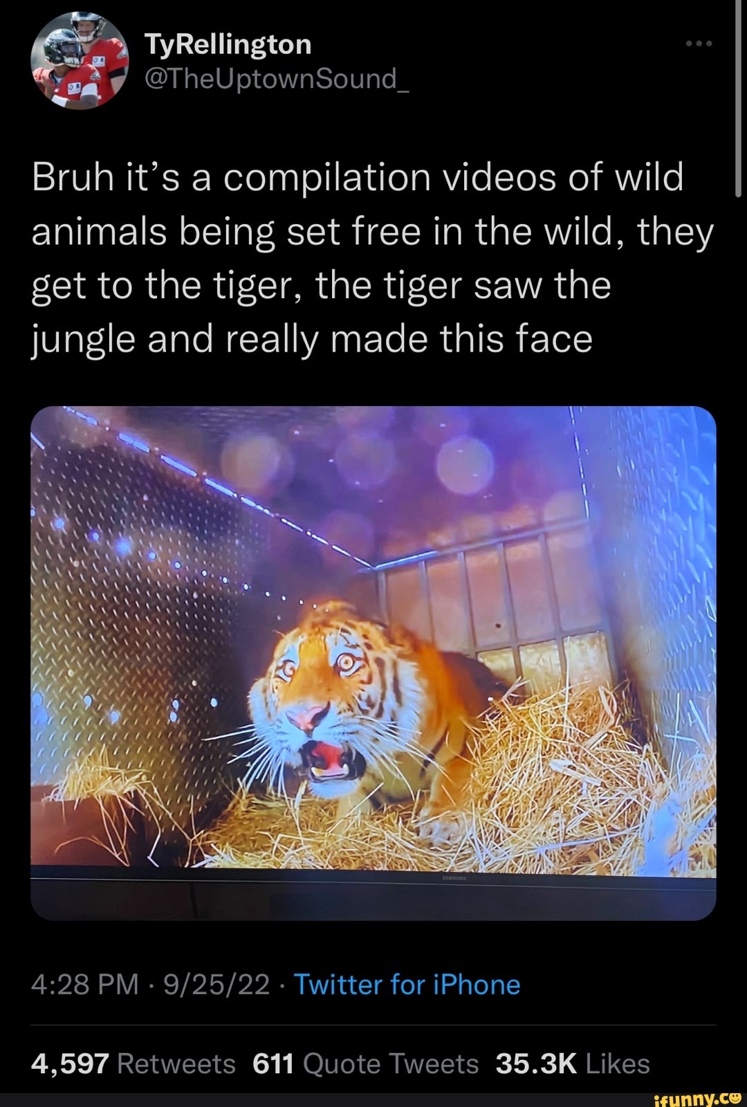 Bruh it's a compilation videos of wild animals being set free in the ...