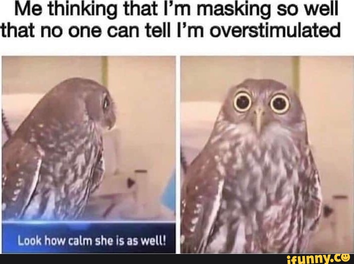 Video memes j7kZOc7lA by 121zf - iFunny