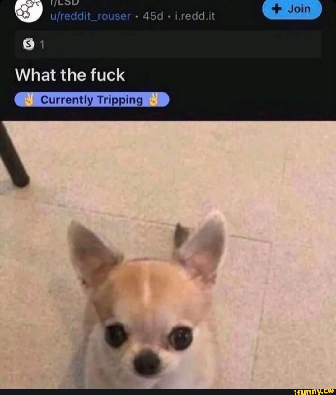 The_man_of_Secks Make a meme Behold! The Steal-your-meme -inator! - iFunny
