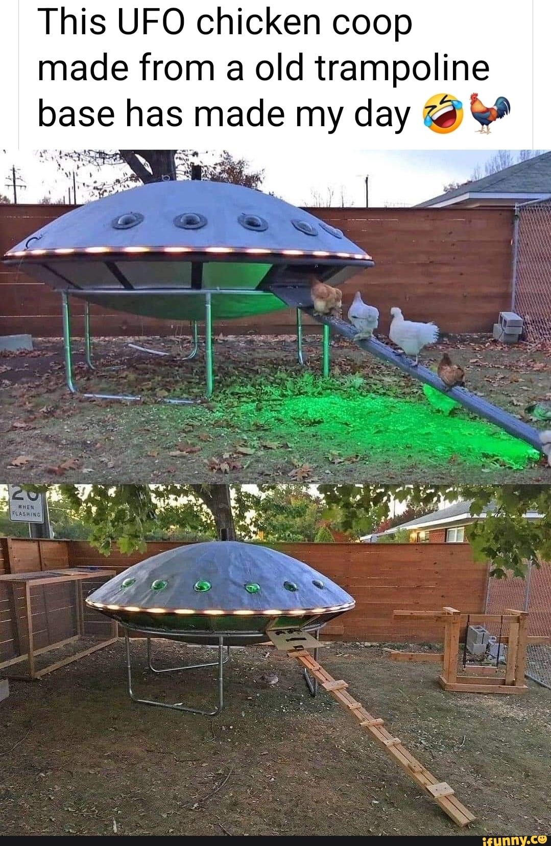 This UFO chicken coop made from a old trampoline base has made my day ...