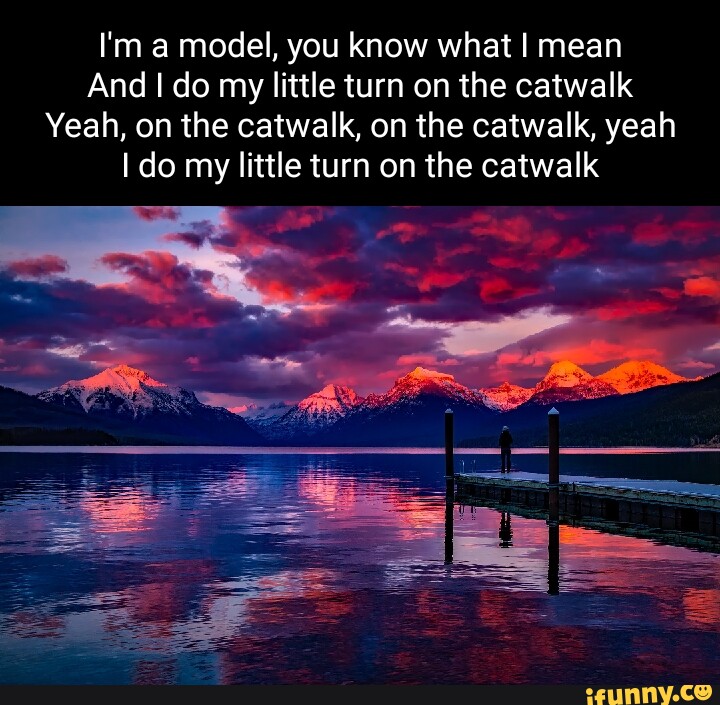 I'm a model, you know what I mean And I do my little turn on the ...