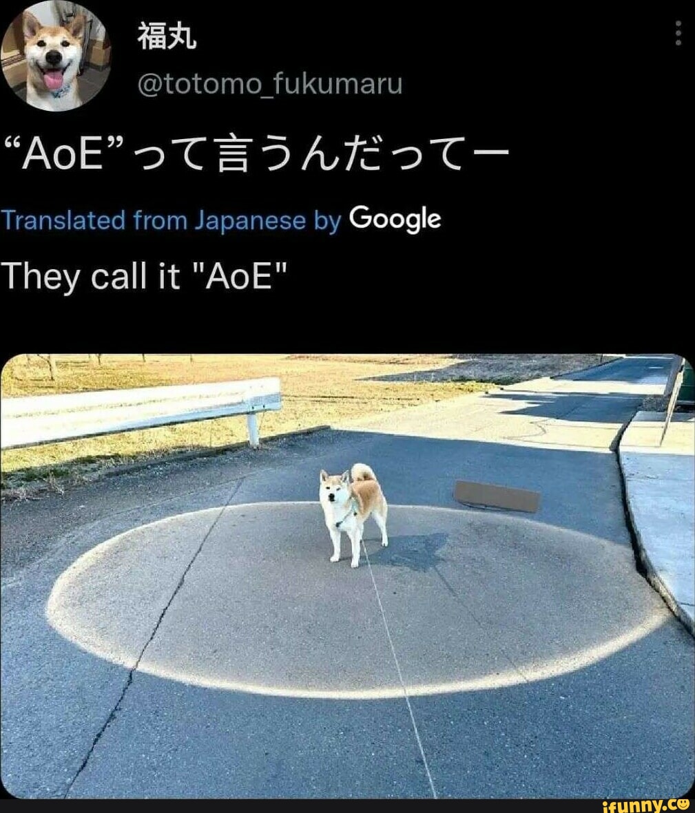 Aoe memes. Best Collection of funny Aoe pictures on iFunny