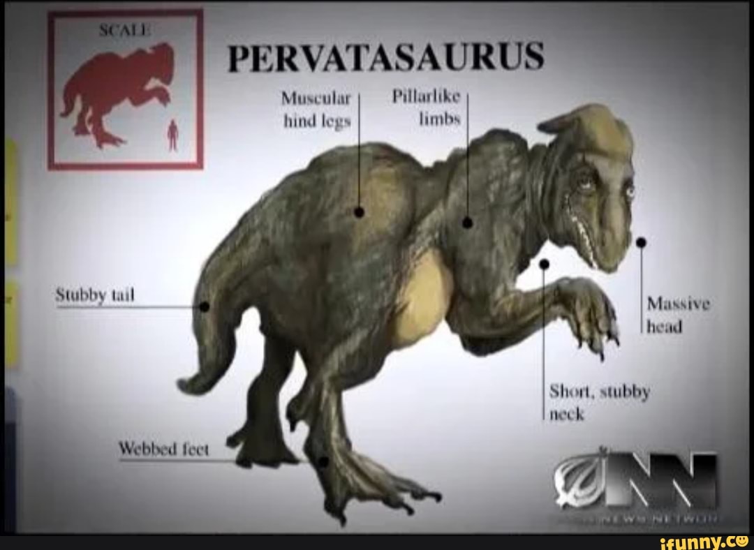 Stubby tail heed Muscular hind legs PERVATASAURU: Pillarlike limbs ...