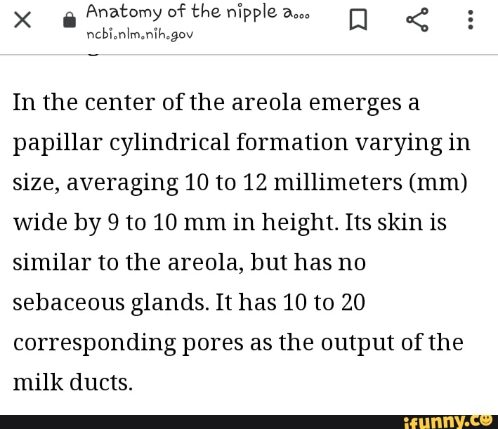 Anatomy of the nipple a... : x ncbi.nlm.nih.gov Anatomy Q In the center ...