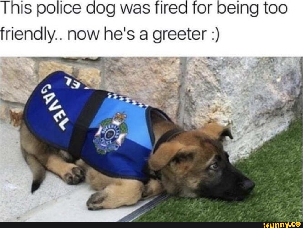 Greeter memes. Best Collection of funny Greeter pictures on iFunny