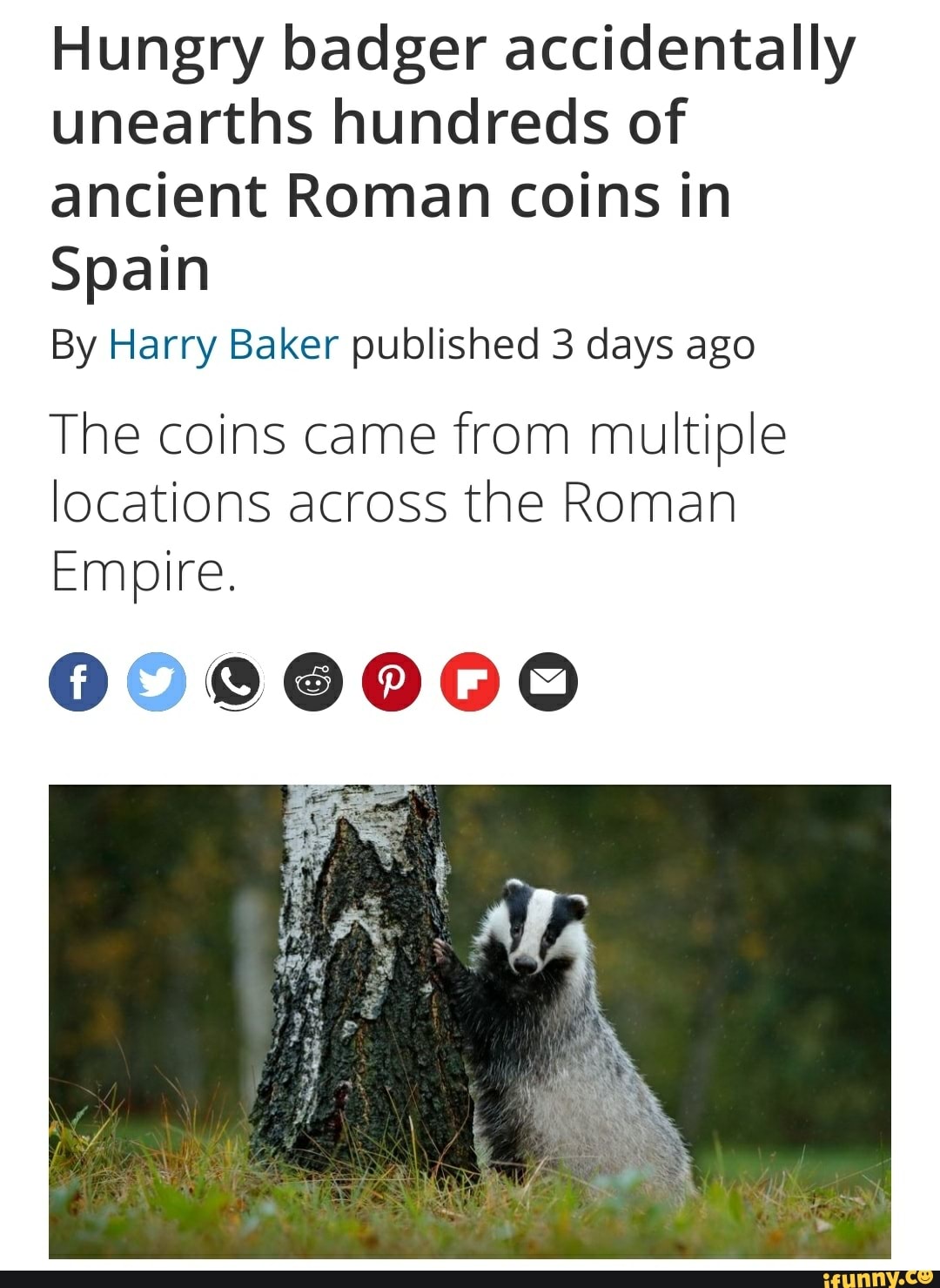Hungry badger accidentally unearths hundreds of ancient Roman coins in ...