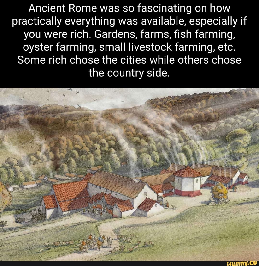 Ancient Rome was so fascinating on how practically everything was ...