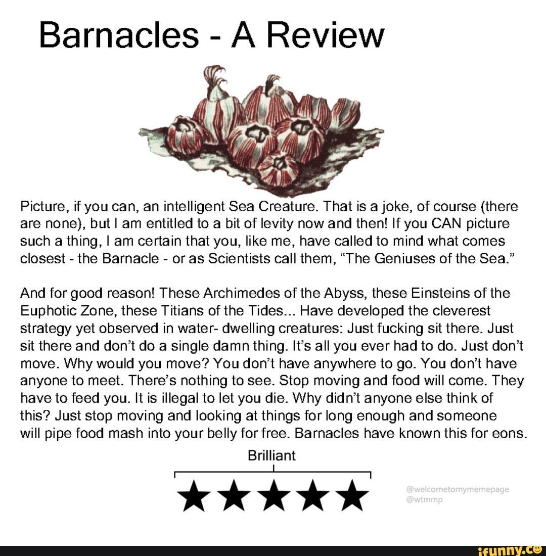 Barnacles A Review Picture, if you can, an intelligent Sea Creature ...
