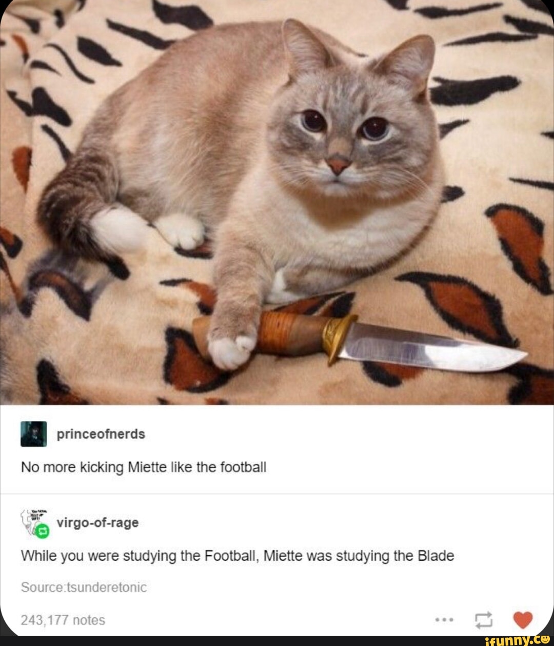 Miette memes. Best Collection of funny Miette pictures on iFunny