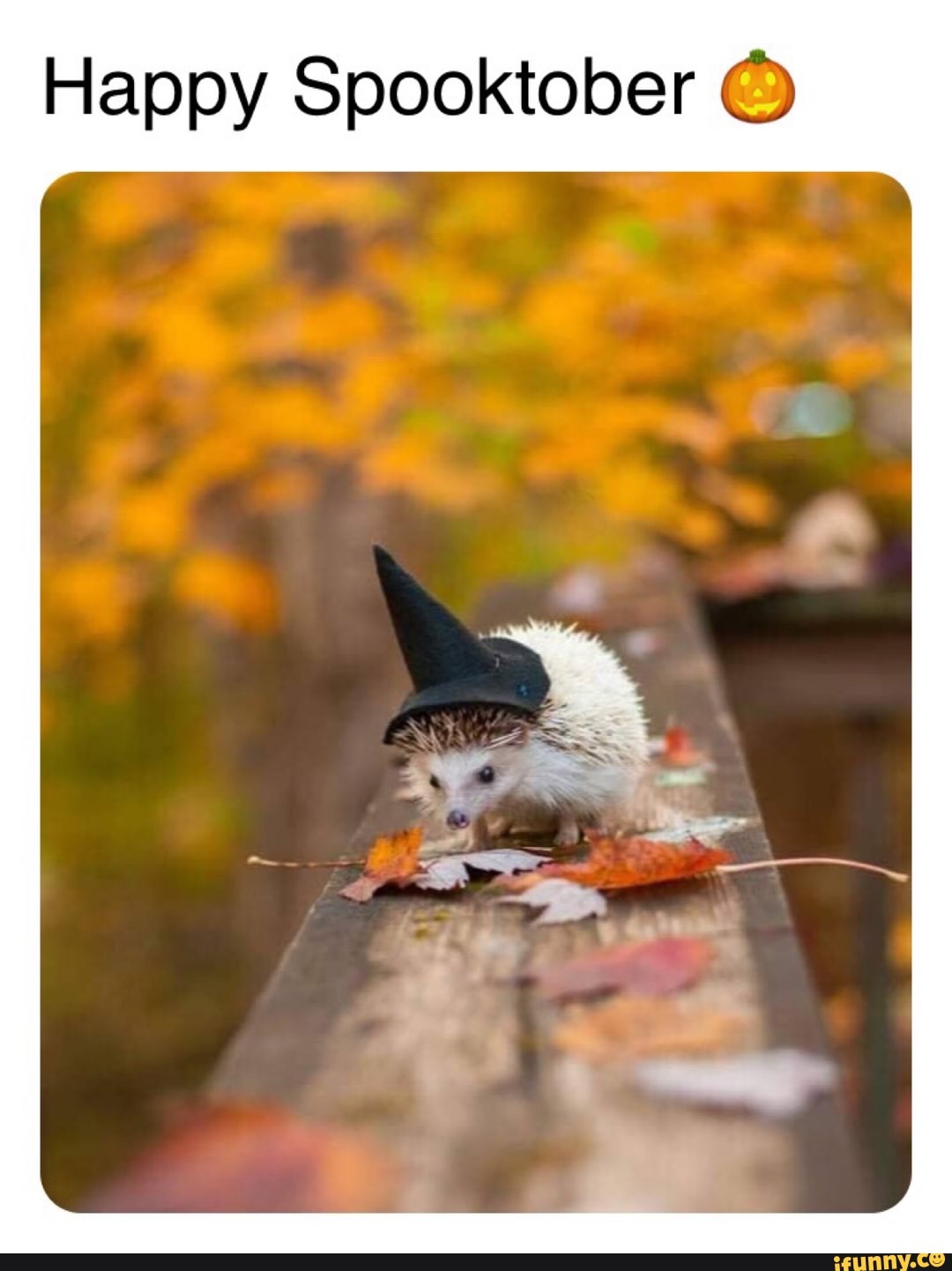 Happy Spooktober $ - iFunny