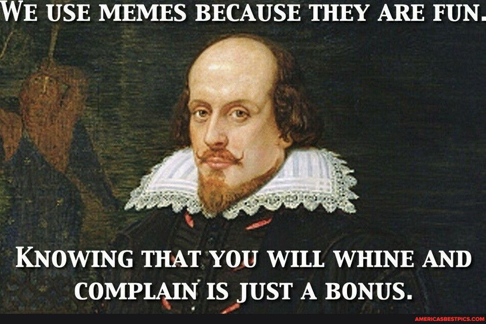WE USE MEMES BECAUSE THEY ARE FUN. KNOWING THAT YOU WILL WHINE AND ...