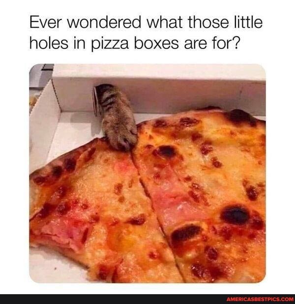 Ever wondered what those little holes in pizza boxes are for? - America ...