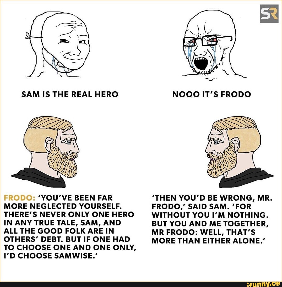 SAM IS THE REAL HERO FRODO: 'YOU'VE BEEN FAR MORE NEGLECTED YOURSELF ...