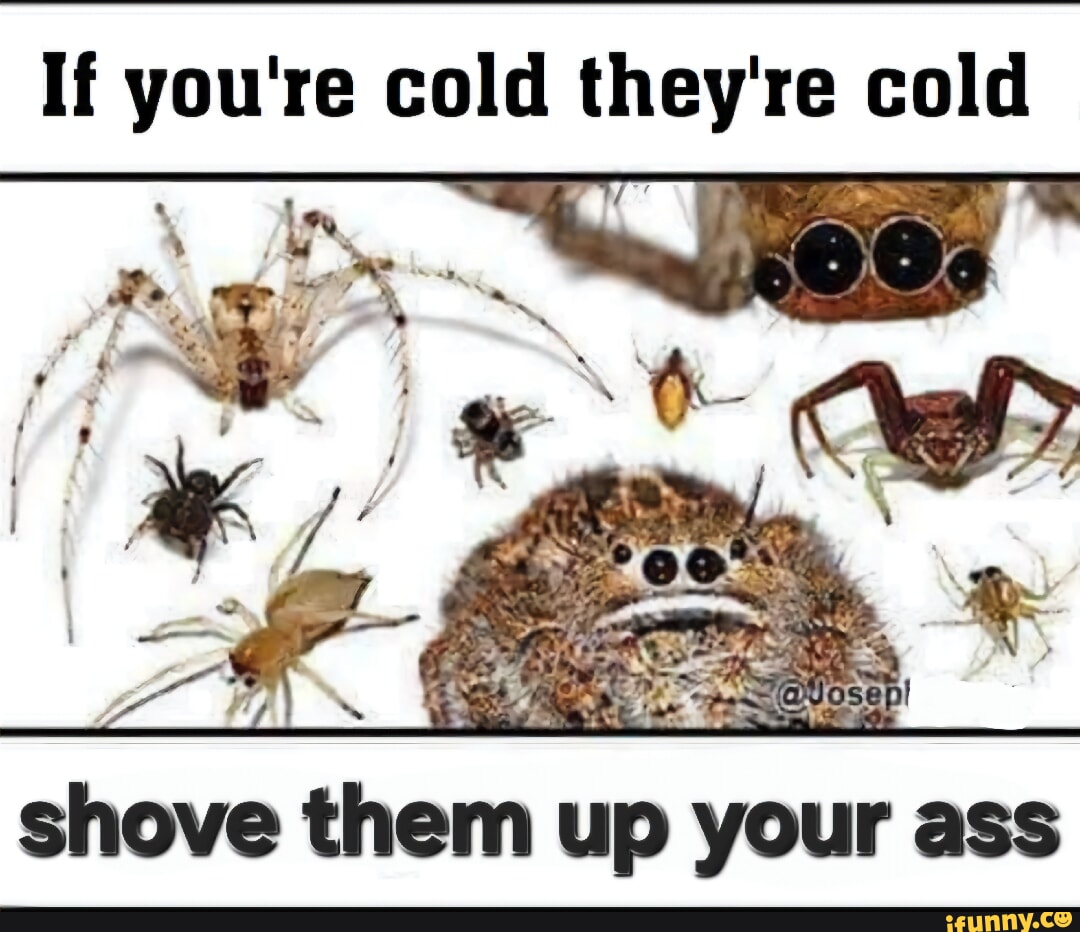 Taint Memes Let's Just Get Straight To The Taint 🍑👈🏼